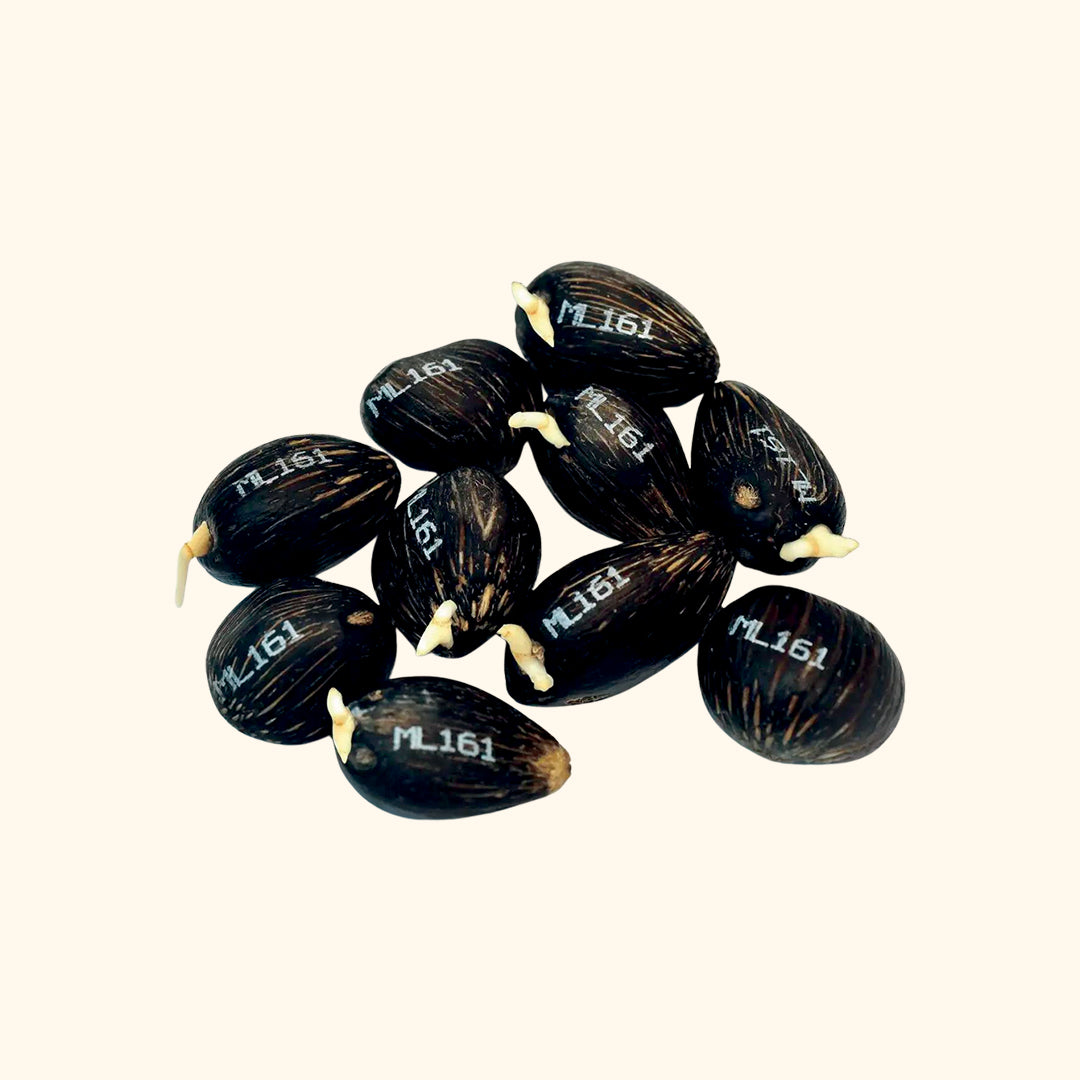 Products – Kudzuseeds